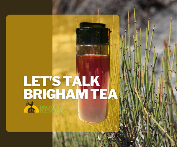 Brigham Tea, A Herb You Would Want To Have At All Times! – Discount ...