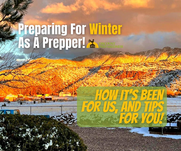 Here Is How We Are Preparing For Winter As Preppers This Year ...